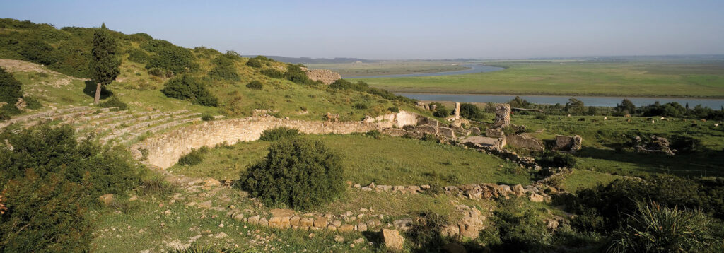 Ancient DNA Revolution - The Empire's Genome - Archaeology Magazine ...