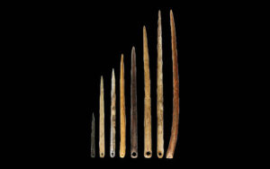 Features - Ancient DNA Revolution - Archaeology Magazine - September ...