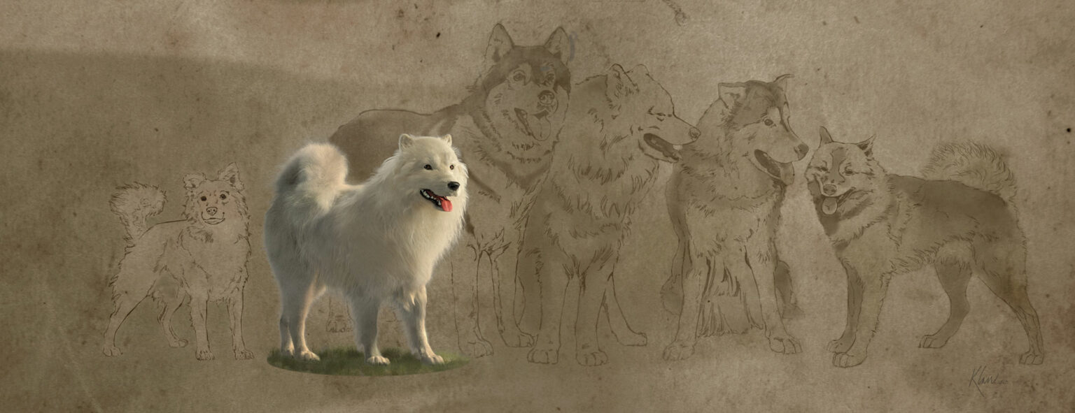 Features - Ancient DNA Revolution - Archaeology Magazine - September ...