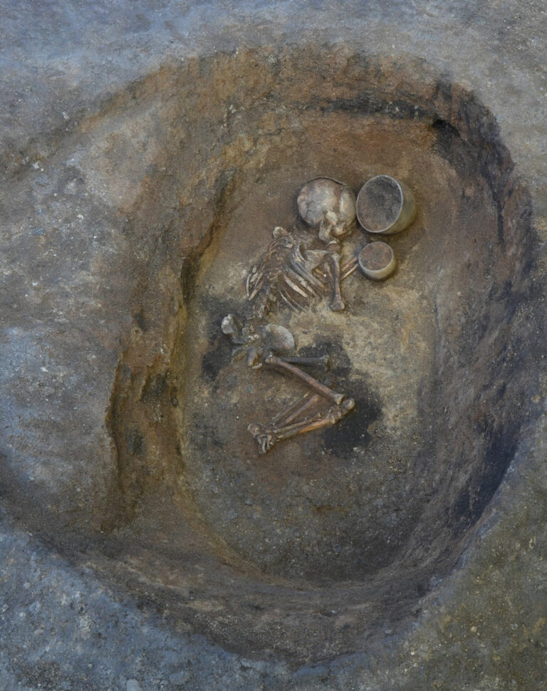 Ancient DNA Revolution - A Bronze Age Family Tree - Archaeology ...