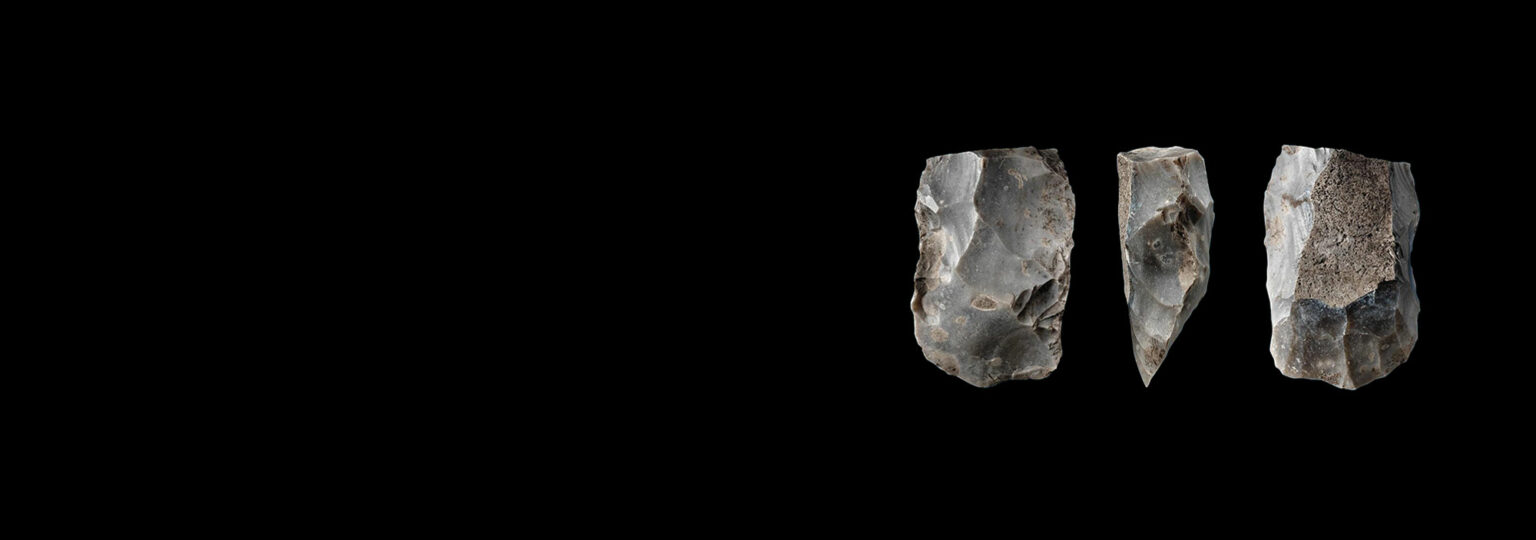 Ancient DNA Revolution - Danish Turnovers - Archaeology Magazine ...