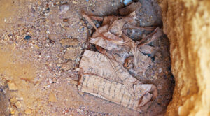 Top 10 Discoveries of 2024 - The Making of a Moche Queen - Archaeology ...