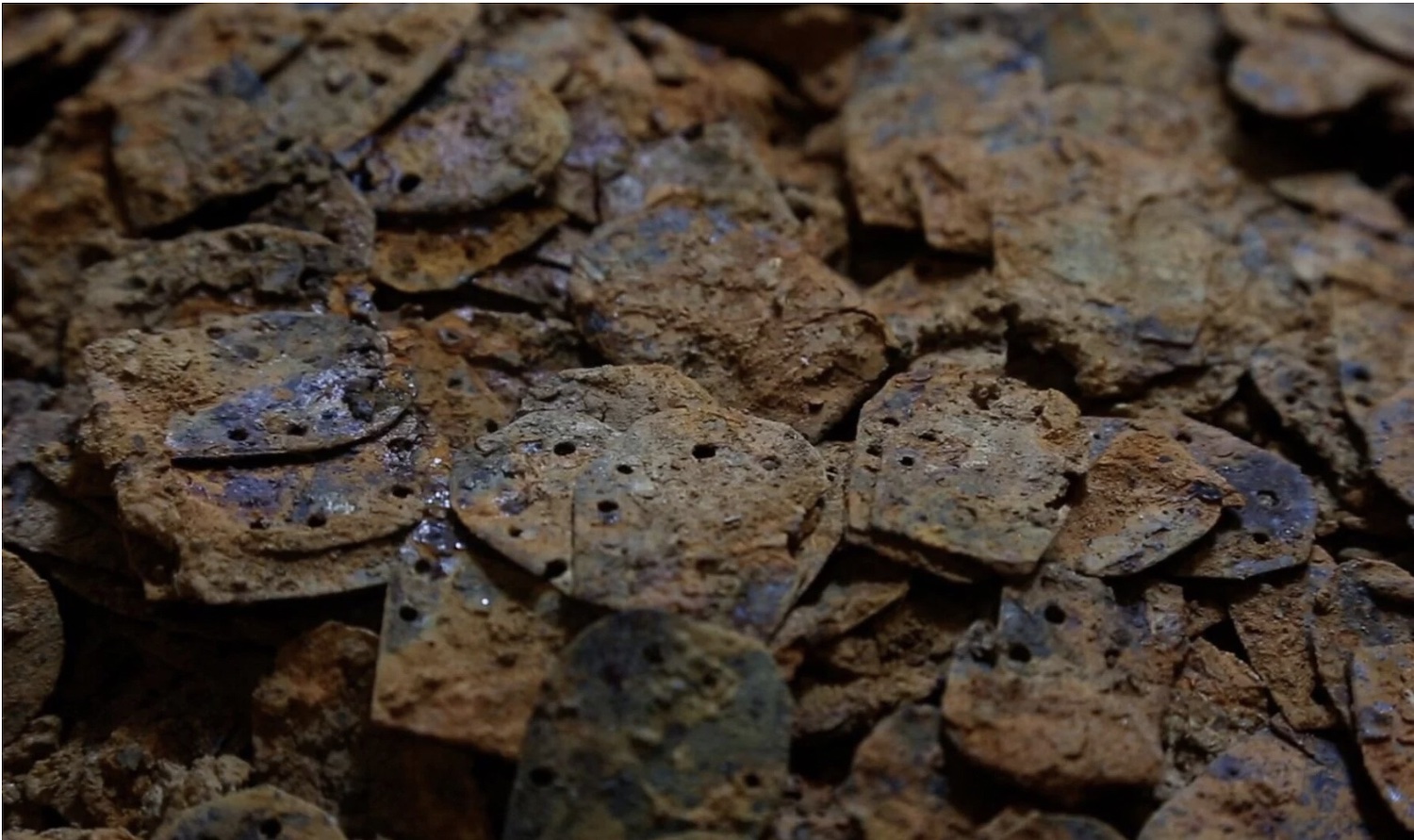 News - Fish-Scale Armor From Tomb of the Marquis of Haihun Analyzed ...