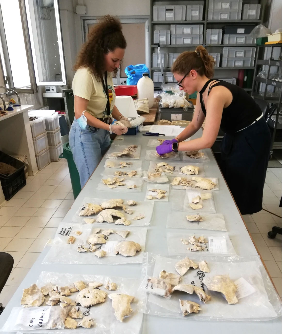 News - Researchers Discover Neolithic Skull Ritual - Archaeology Magazine