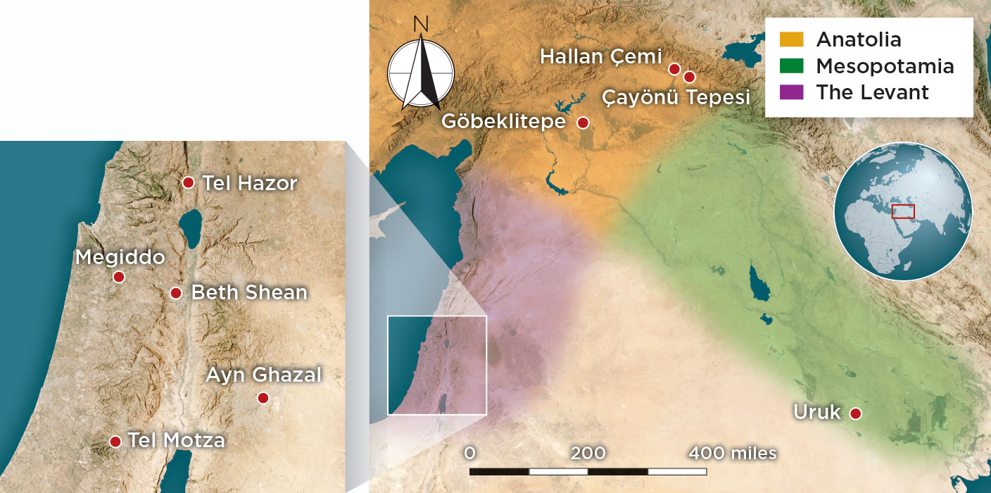 Letter from the Levant - On the Origin of the Pork Taboo - Archaeology ...