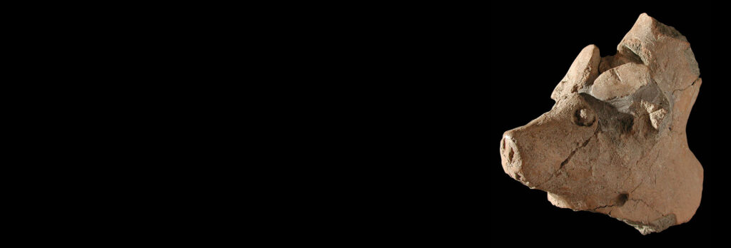Letter from the Levant - On the Origin of the Pork Taboo - Archaeology ...