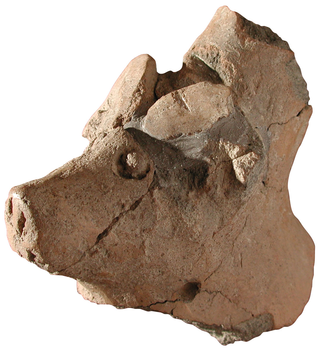 Letter from the Levant - On the Origin of the Pork Taboo - Archaeology ...