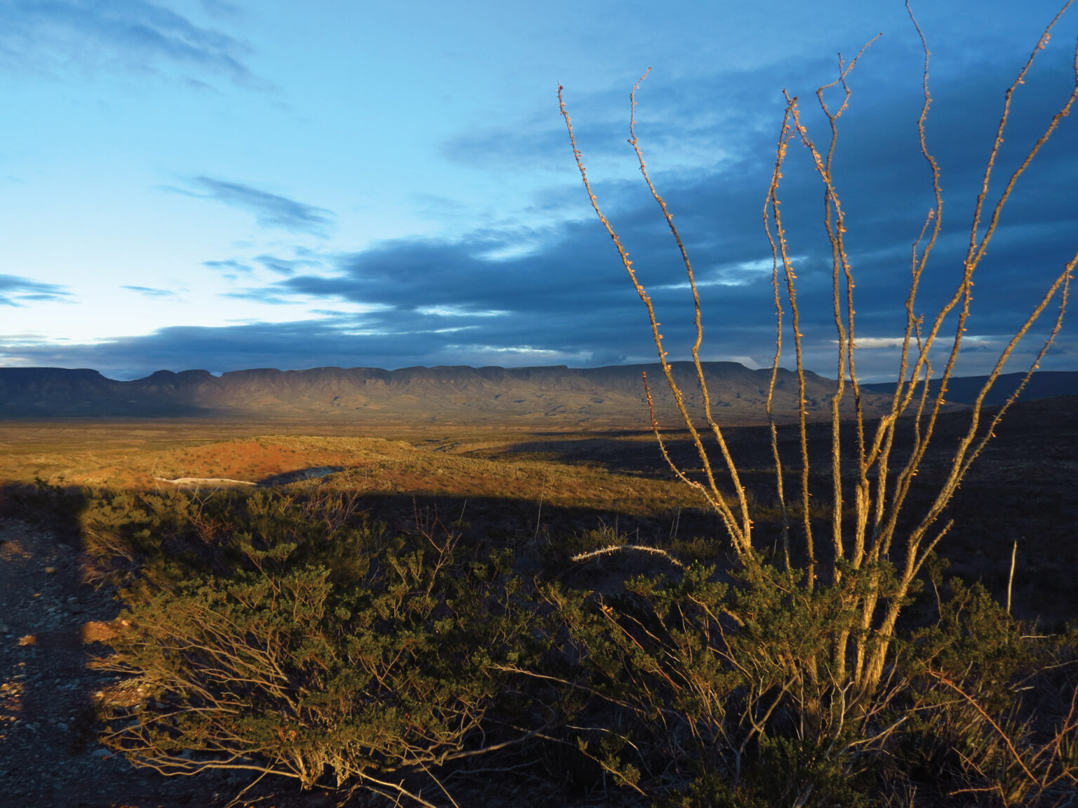 News - Genetic Evidence Helps Reveal Origins and Spread of Celtic ...