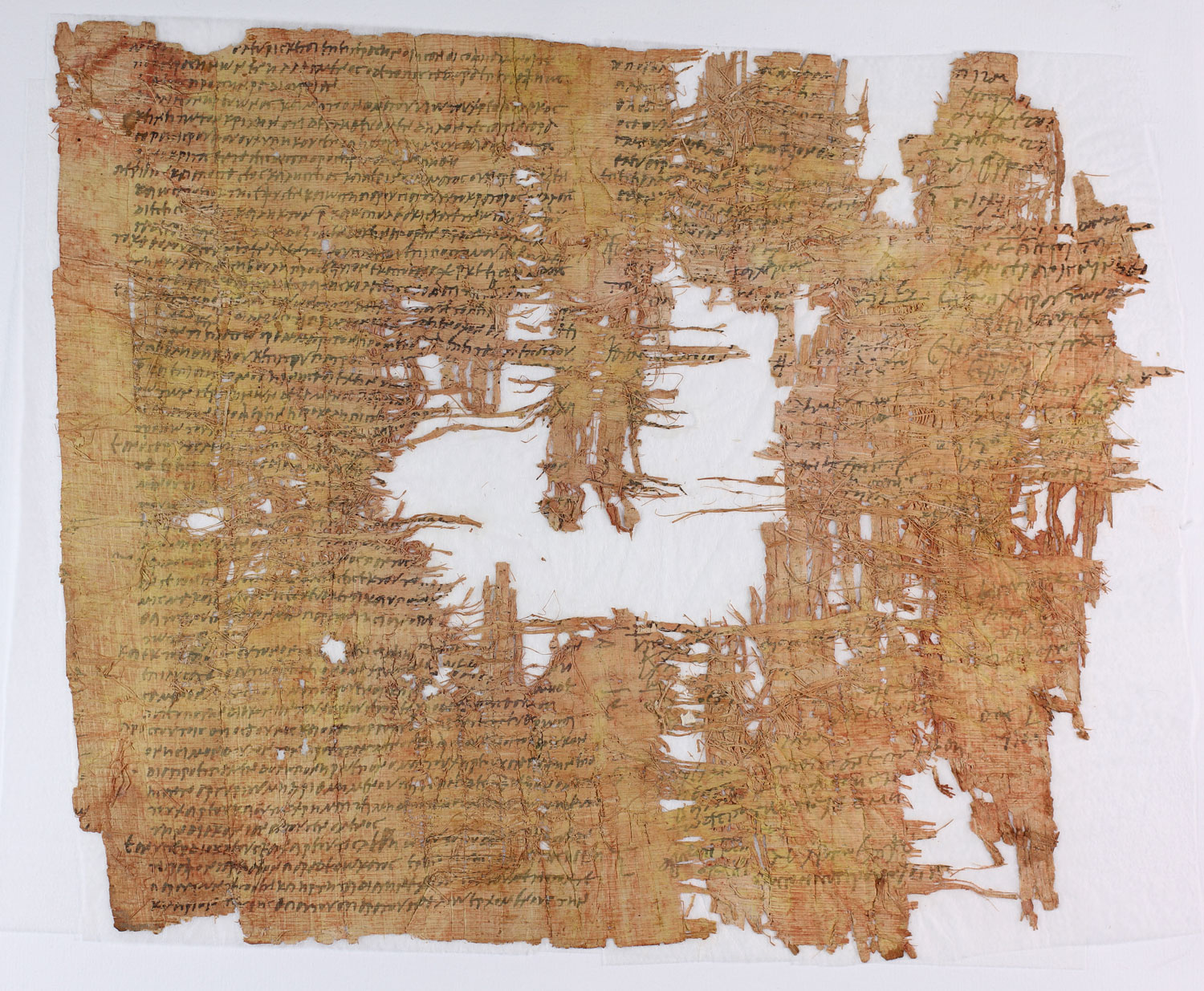News - Papyrus Text Tells of Roman Trial for Forgery and Tax Fraud ...