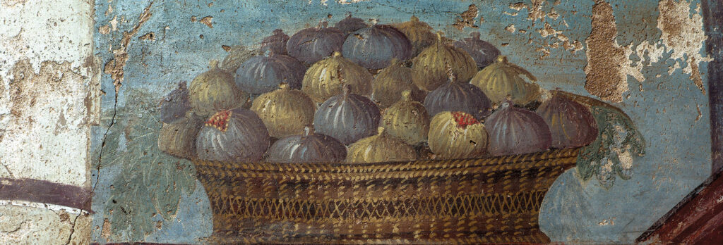 A Passion for Fruit - Ancient Comfort Food - Archaeology Magazine - May ...