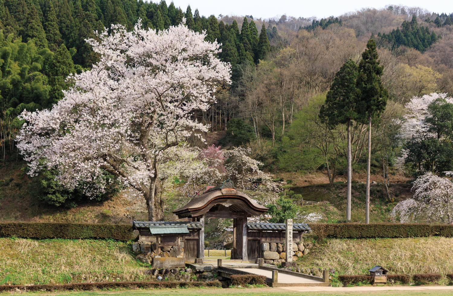 Features - Lost City of the Samurai - Archaeology Magazine - May/June 2025