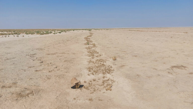 News - Massive Network of Ancient Canals Mapped in Mesopotamia ...