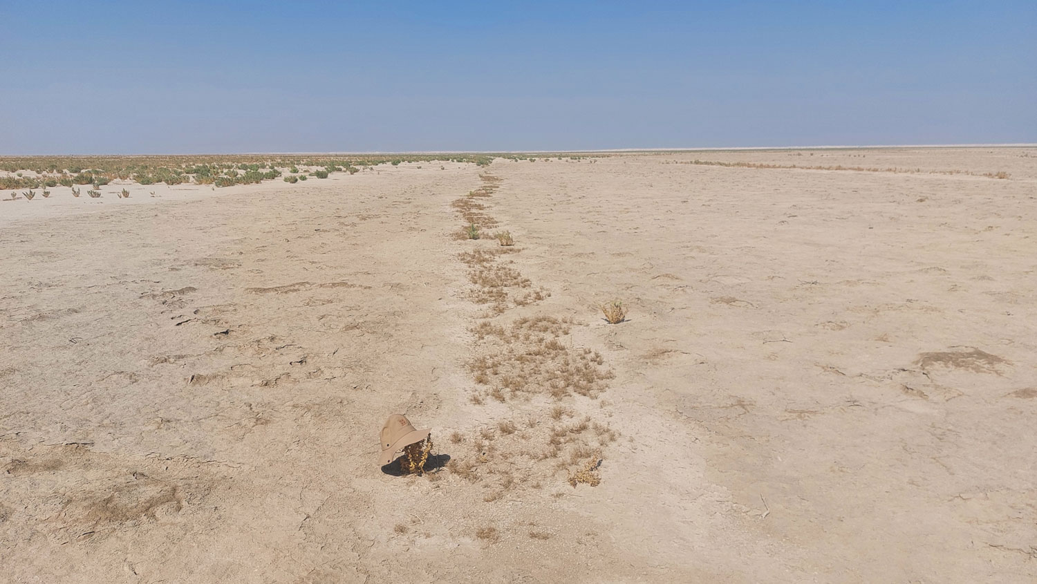 News - Massive Network of Ancient Canals Mapped in Mesopotamia ...