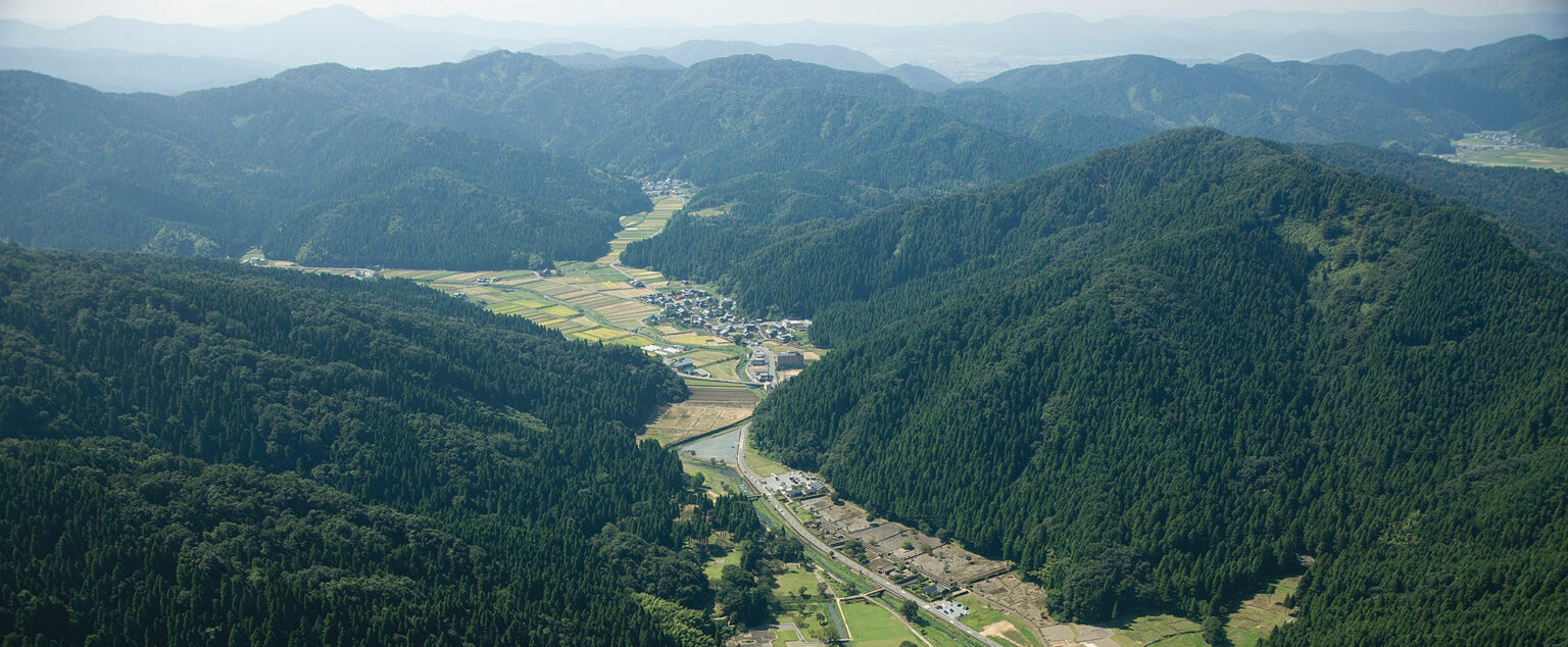 News - New Study Proposes How and Why Early Humans First Used Fire ...