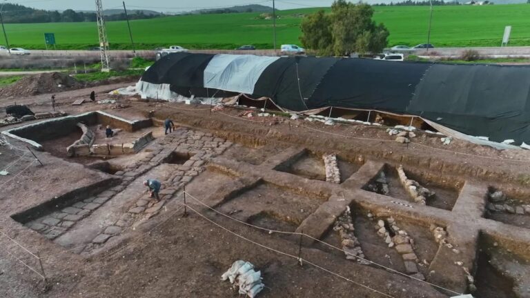 News - Evidence of Roman Soldiers' Pig Sacrifice Identified in Israel ...