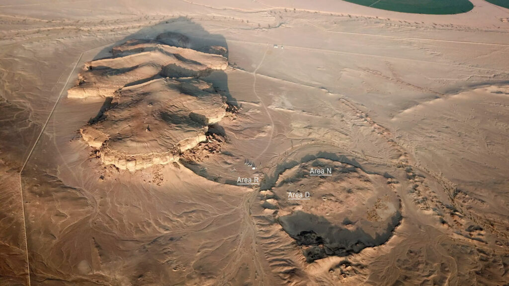 News - Earliest Use of Psychoactive Plant Identified in Iron Age Arabia ...