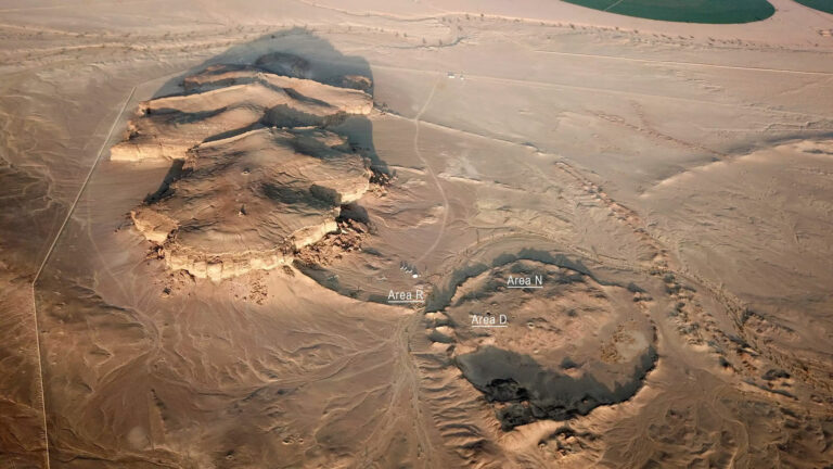 News - Earliest Use of Psychoactive Plant Identified in Iron Age Arabia ...