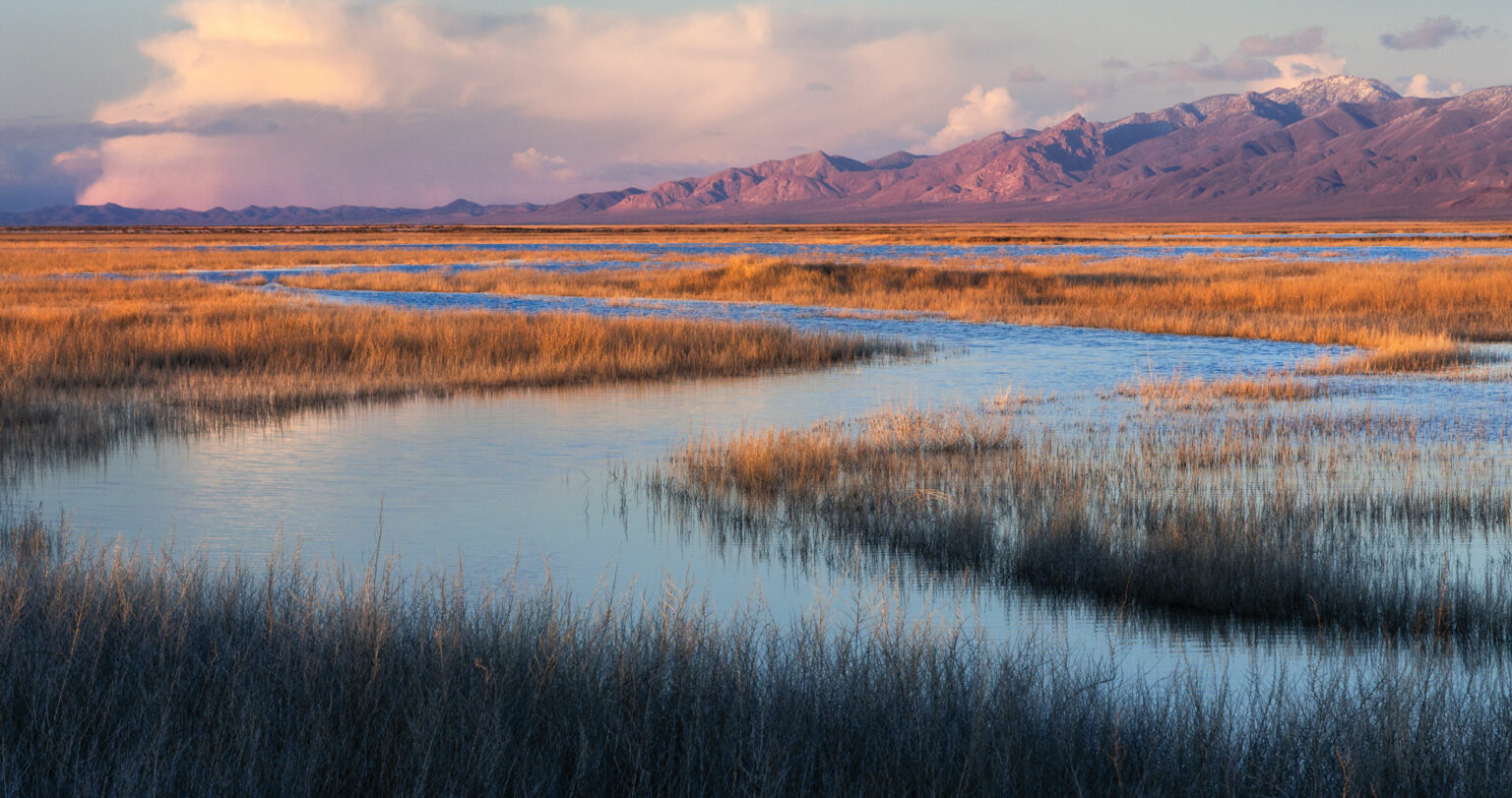 News - Life-Size Human Statue Found at Göbeklitepe - Archaeology Magazine