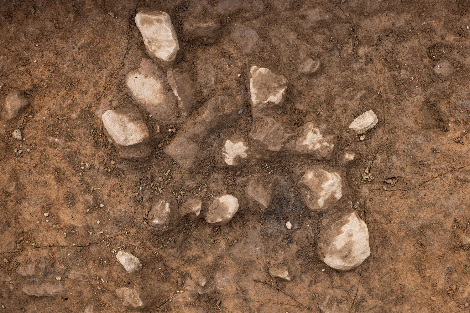 News - Archaeologists Locate Significant Native American Campsite in ...