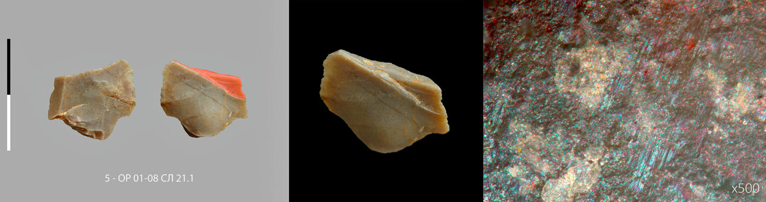 News - New Evidence Suggests Humans May Have Used Bows and Arrows ...