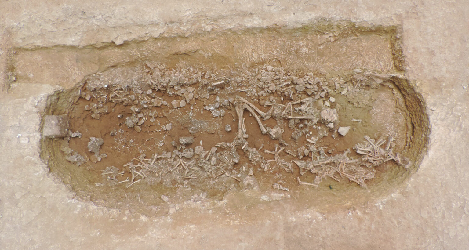 Letter from France - Neolithic Cultural Revolution - Archaeology ...