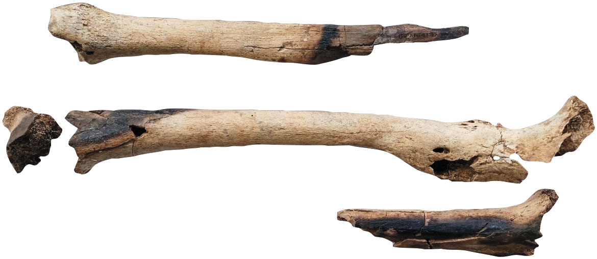 Top 10 Discoveries of 2025 - Oldest Mummified People - Archaeology ...