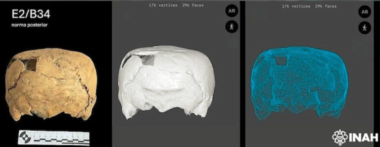 News - Modified Skull from Northern Mexico Studied - Archaeology Magazine