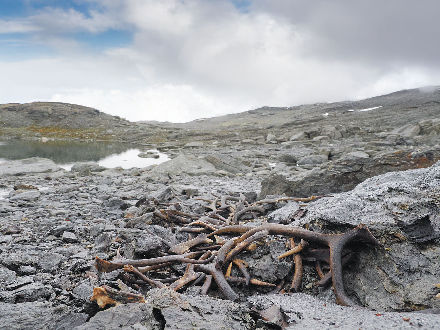 Ancient Reindeer Trap Found in Norway’s Melting Ice - Archaeology Magazine