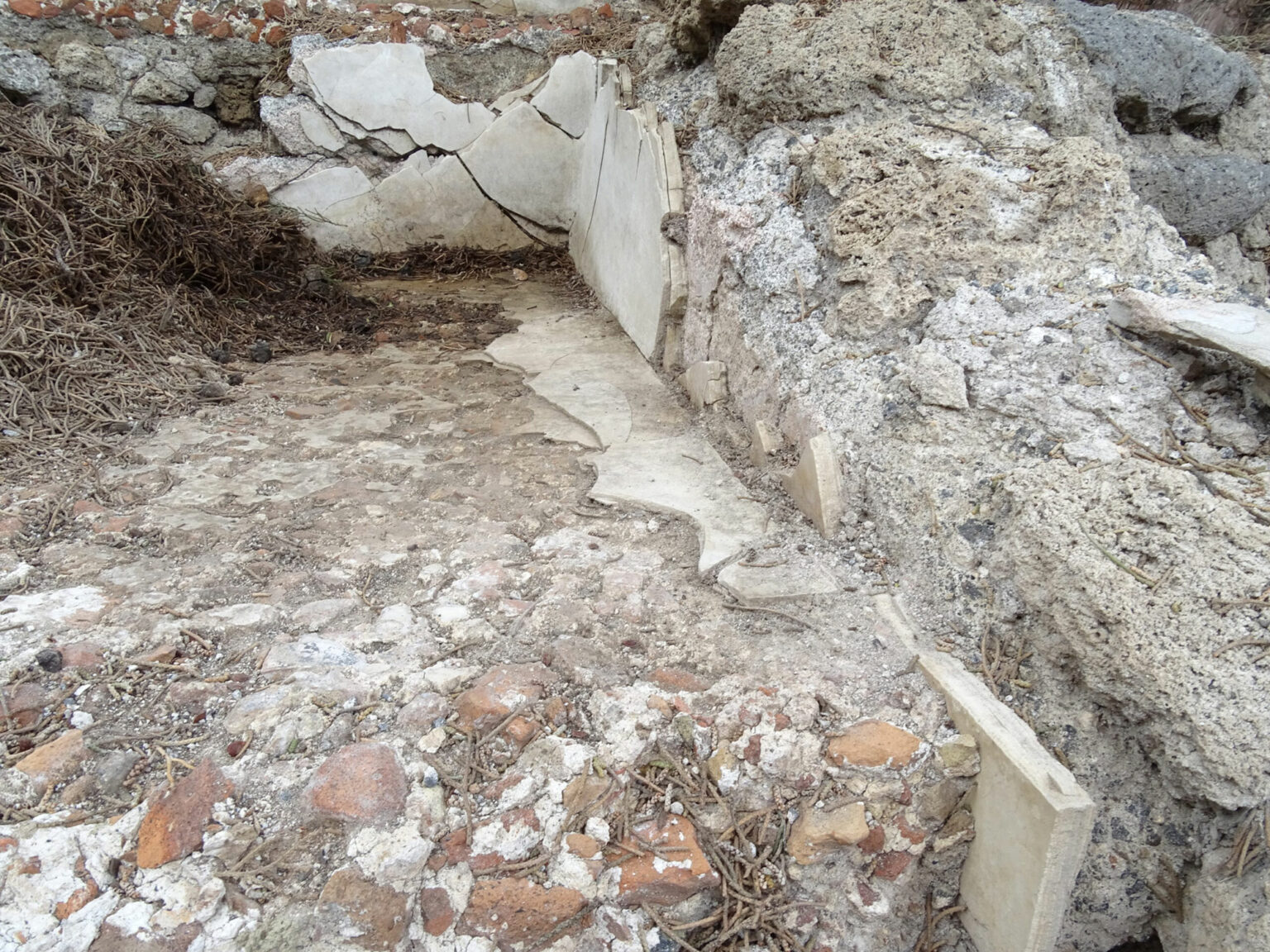 Today’s News - Archaeology Magazine