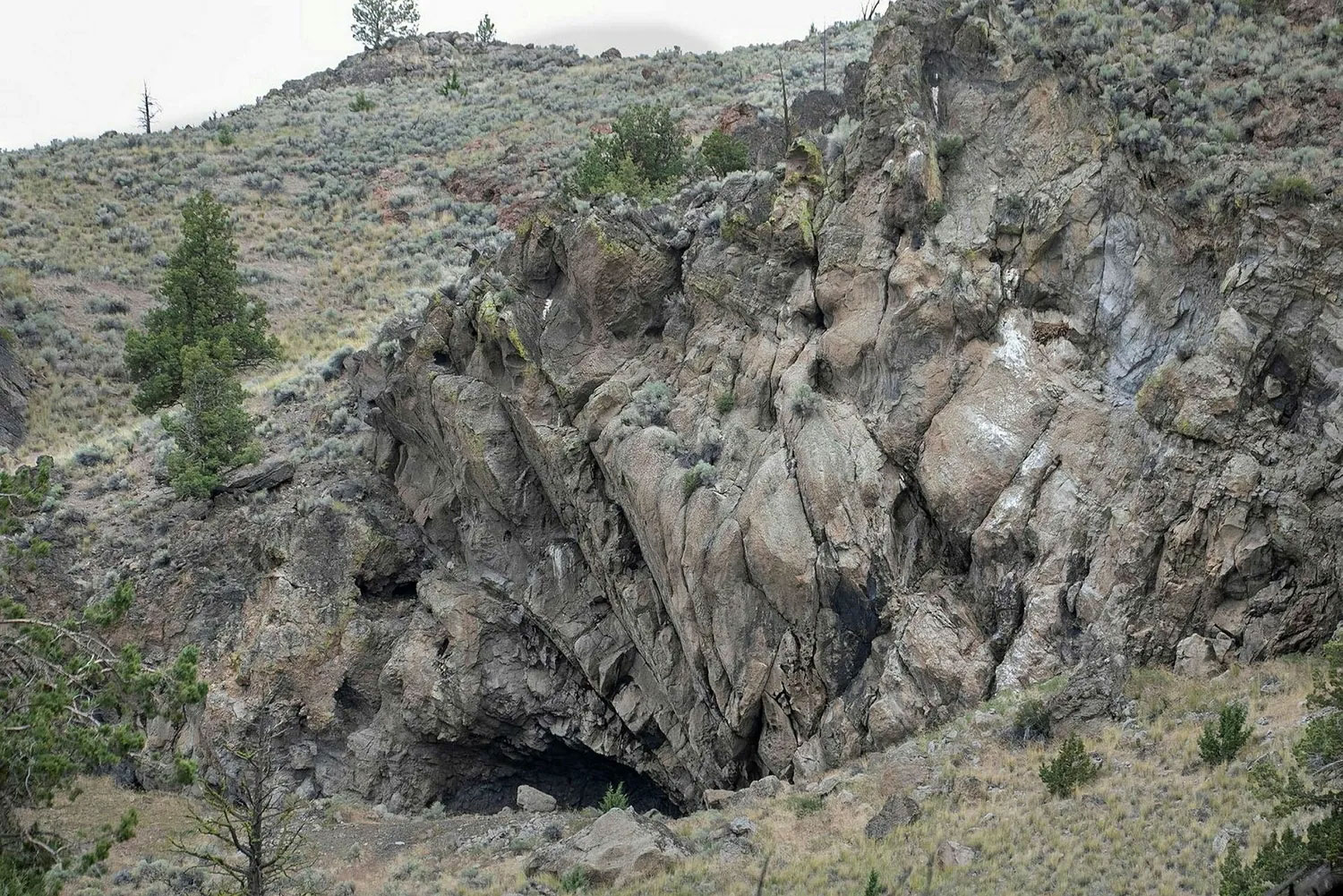 News - Earliest Evidence of Sewn Hide Identified in Oregon Cave ...